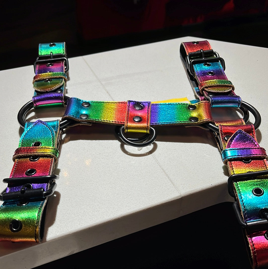 Everest Rainbow leather harness